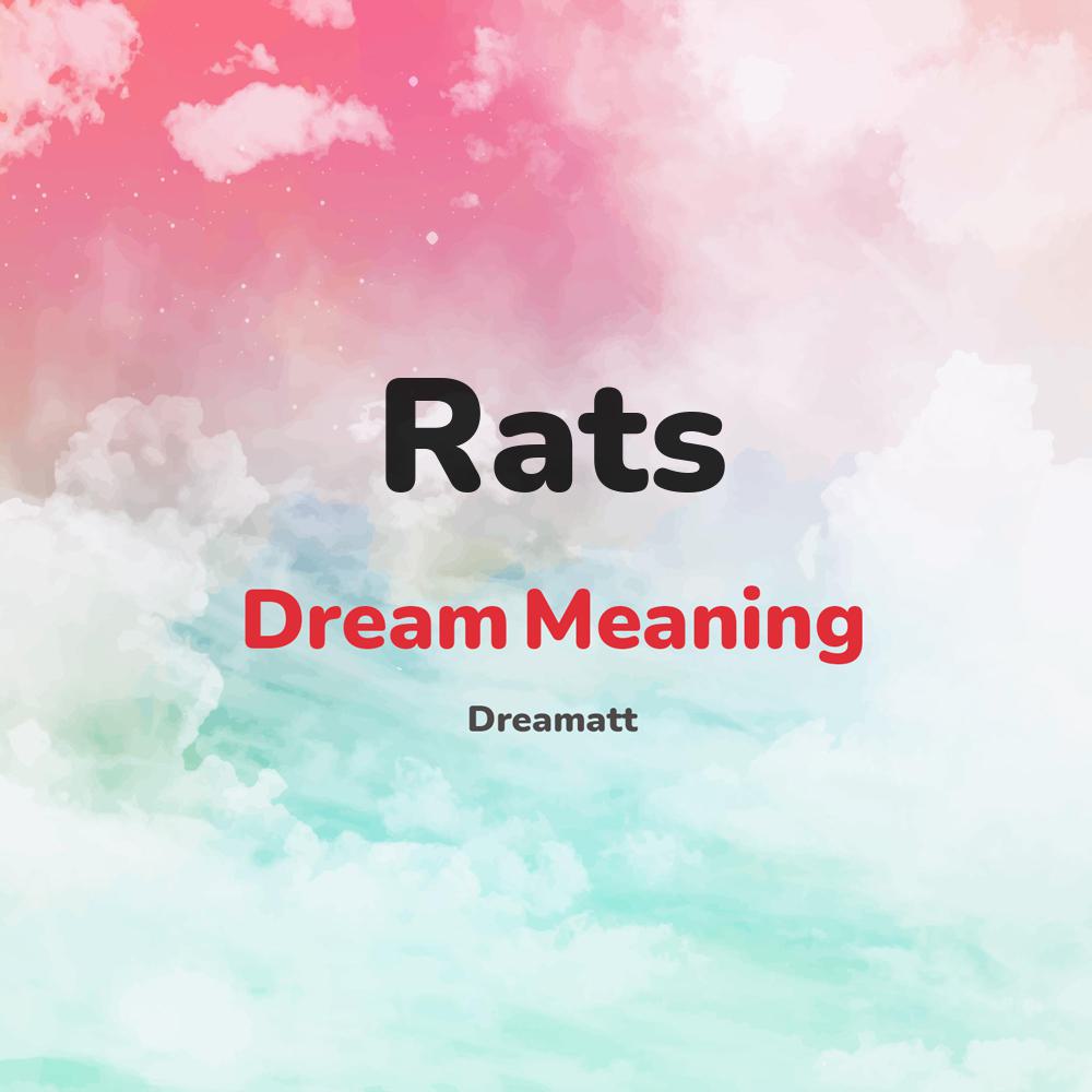 Rats Dream Meaning & Online Interpreter | dreams about Rats